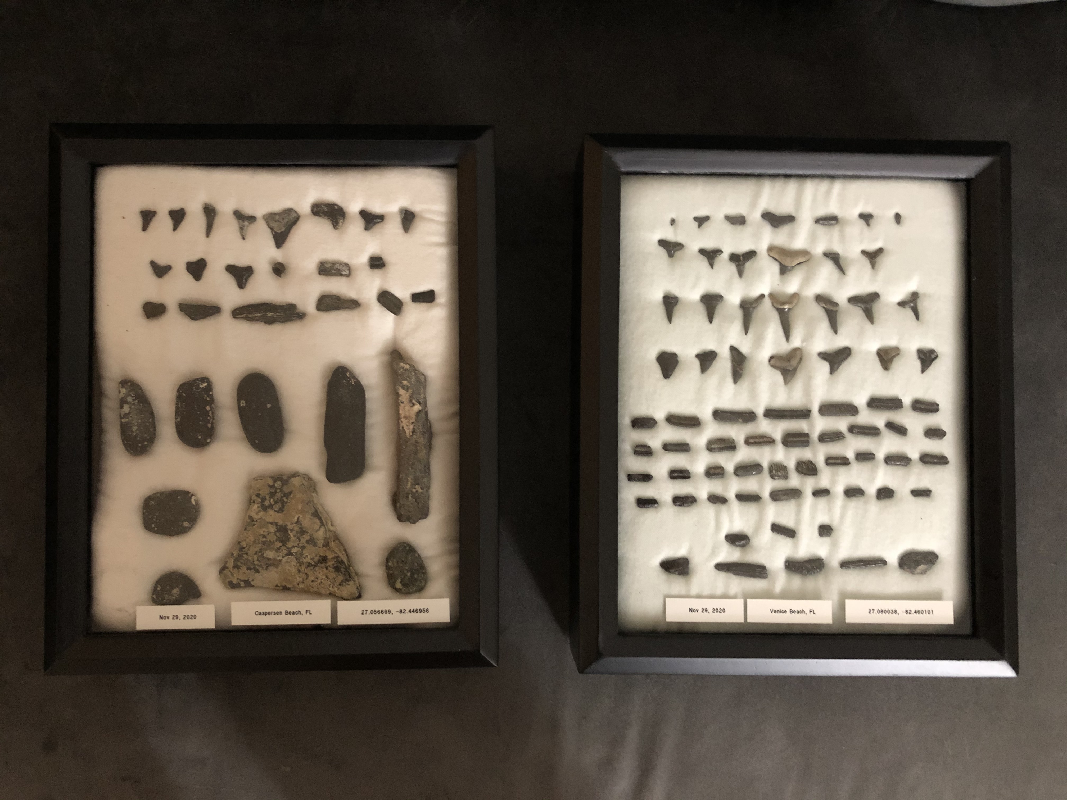 Fossil Hunting | johndallascast